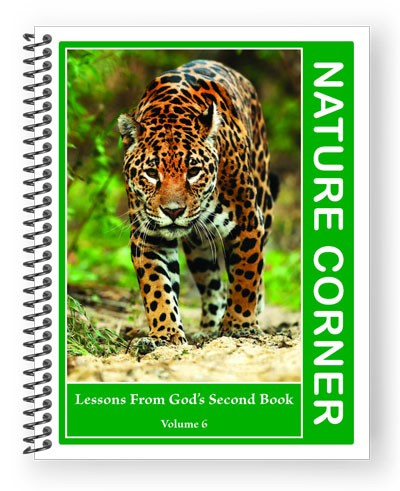 Nature Corner - Volume 6 - Ministry Helps UK